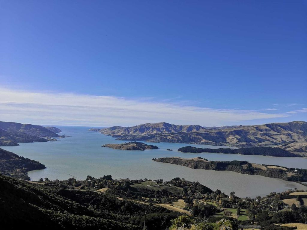 70 years of quarantine: the archaeology of Ōtamahua/Quail Island ...