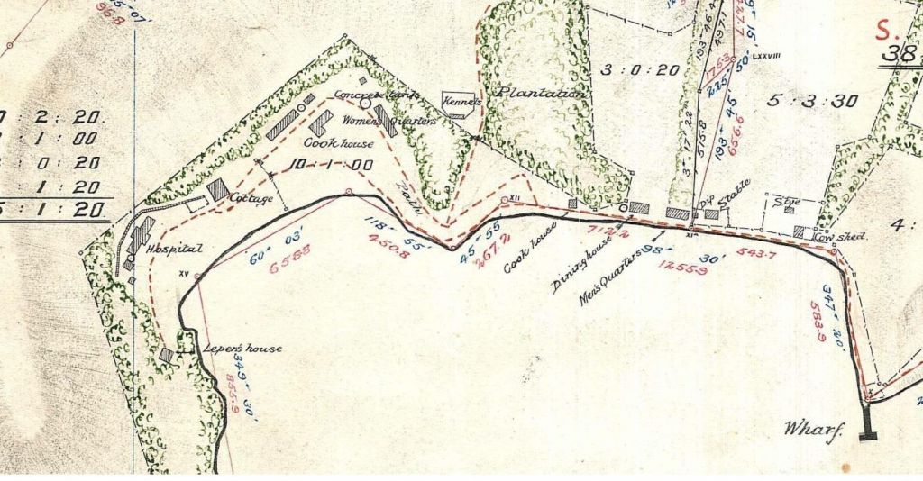 70 years of quarantine: the archaeology of Ōtamahua/Quail Island ...